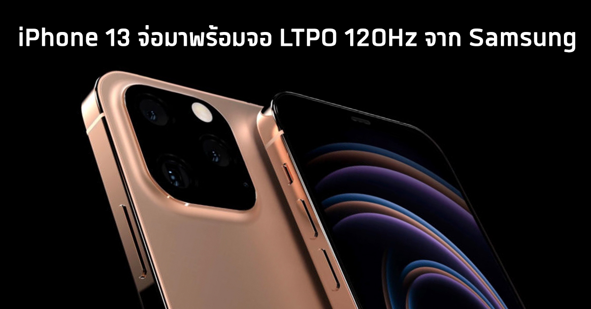 iPhone 13 จ่อมาพร้อมจอ LTPO ลื่นไหลระดับ 120Hz จาก Samsung และสแกนนิ้ว Touch ID บนหน้าจอ ...